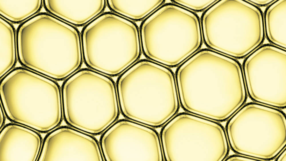 Process simulation - Techniconsult